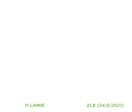 Facts – LAMIE direkt